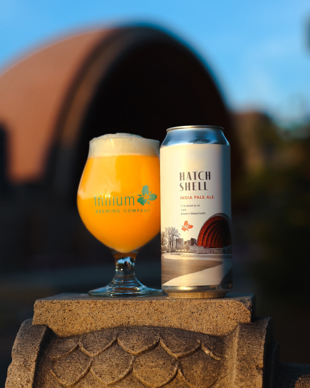 4-Pack Cans Available for Home Delivery – Trillium Brewing Co.
