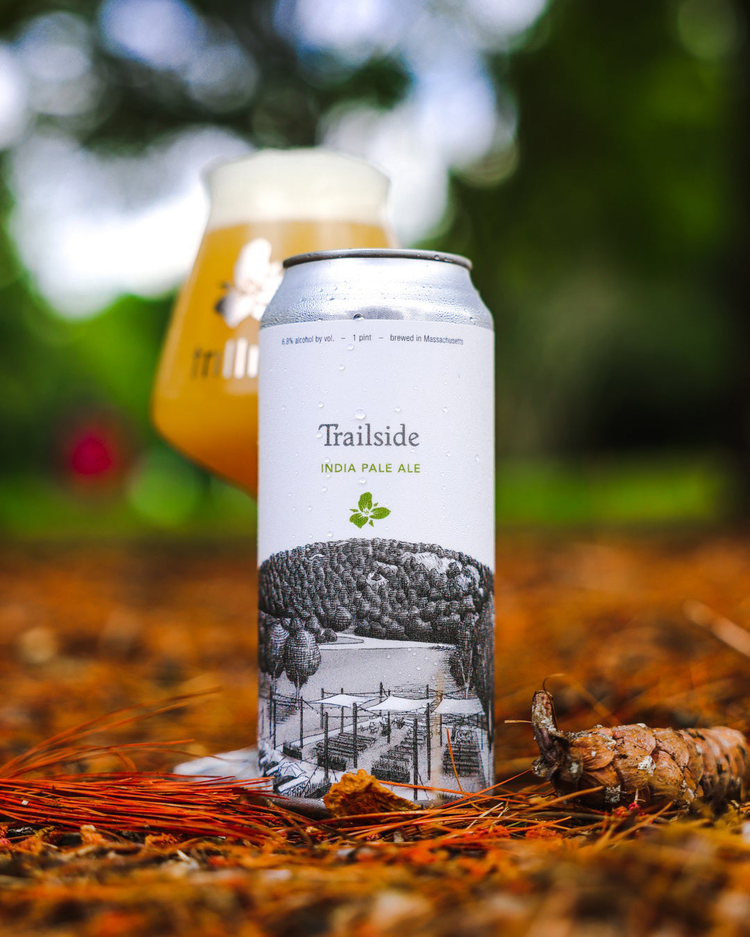 4-Pack Cans Available for Home Delivery – Trillium Brewing Co.