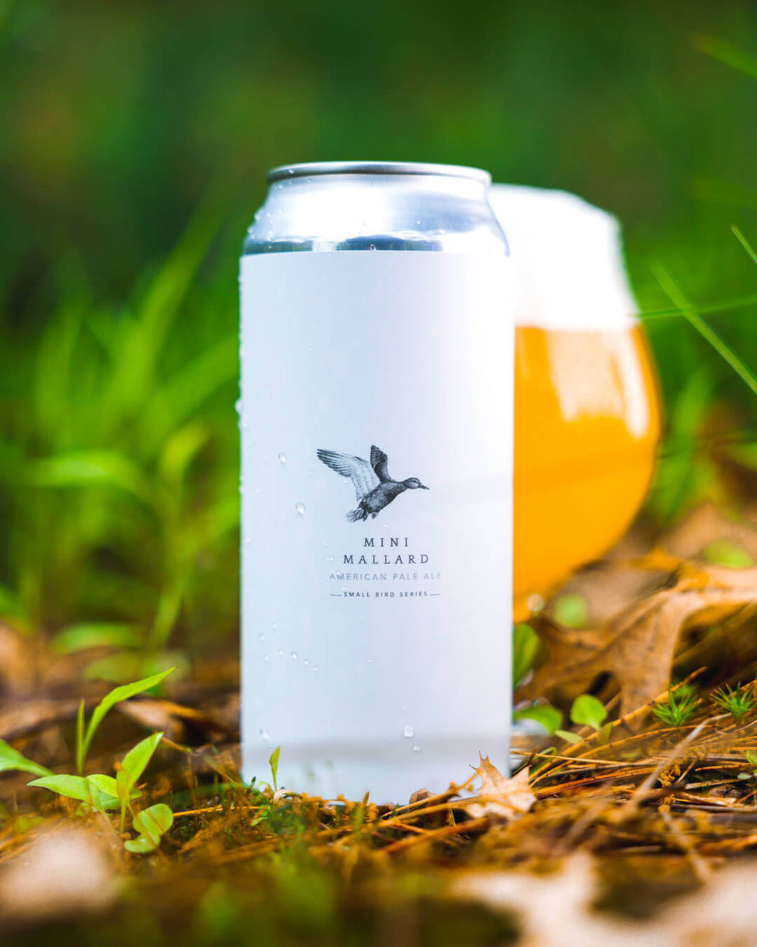 Trillium Brewing | UPS Direct Shipping – Trillium Brewing Co.